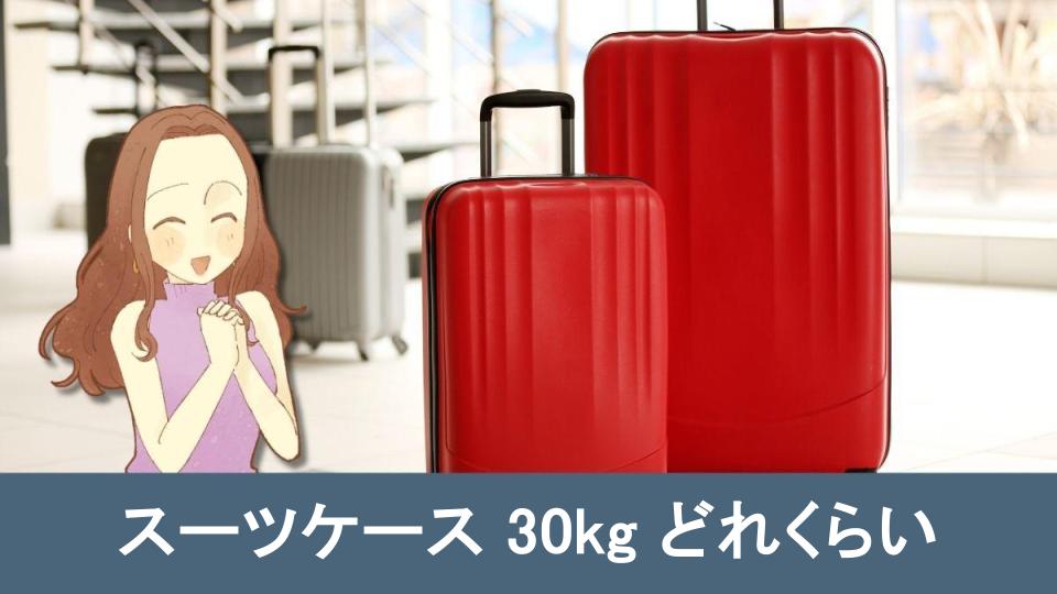 【重さの目安と例え】スーツケース30kgどれくらい入るか完全ガイド