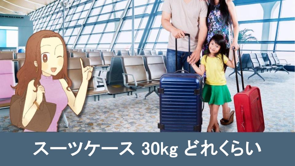 【重さの目安と例え】スーツケース30kgどれくらい入るか完全ガイド